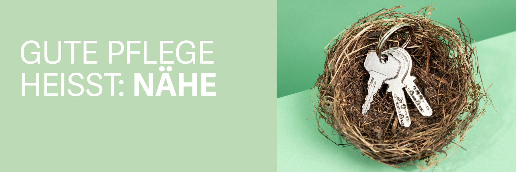 ALVAD Locarnese e Vallemaggia - Home